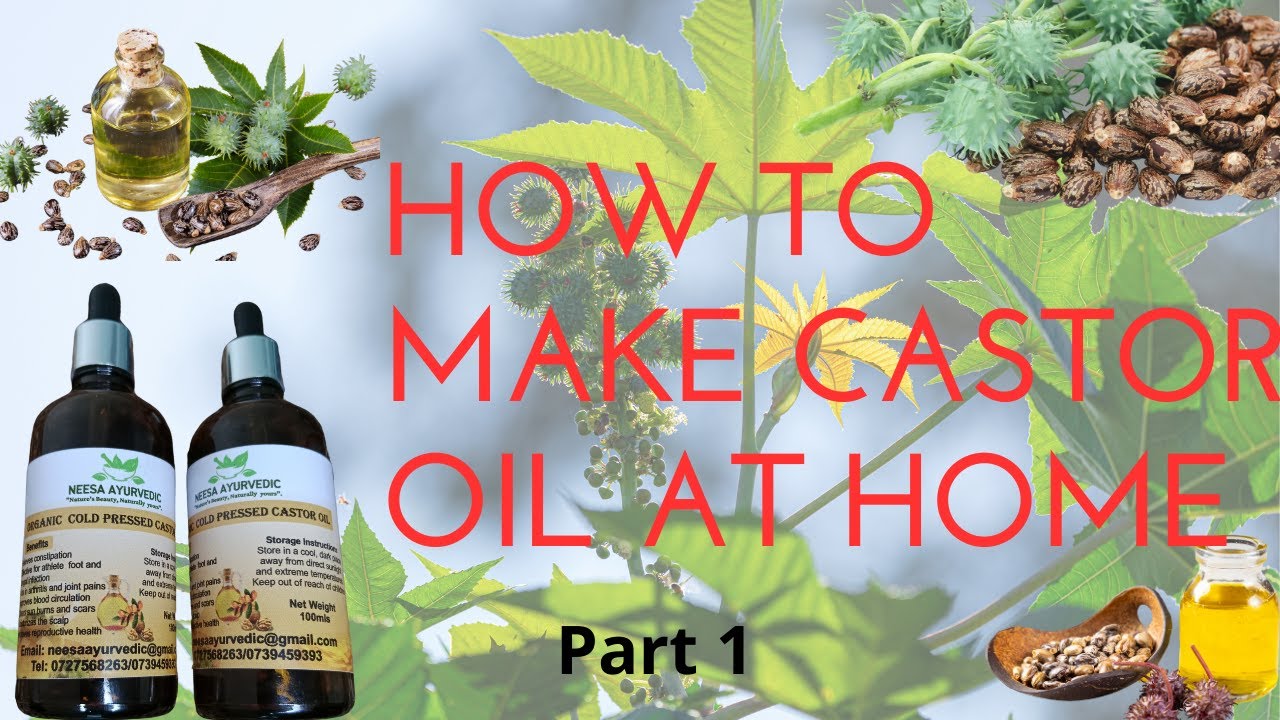 HOW TO MAKE CASTOR OIL AT HOME; Part 1 #coldpressedcastoroil # ...