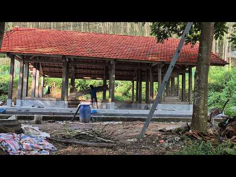 Moving the wooden planks into the house. The piglet was trampled by its mother and has died.