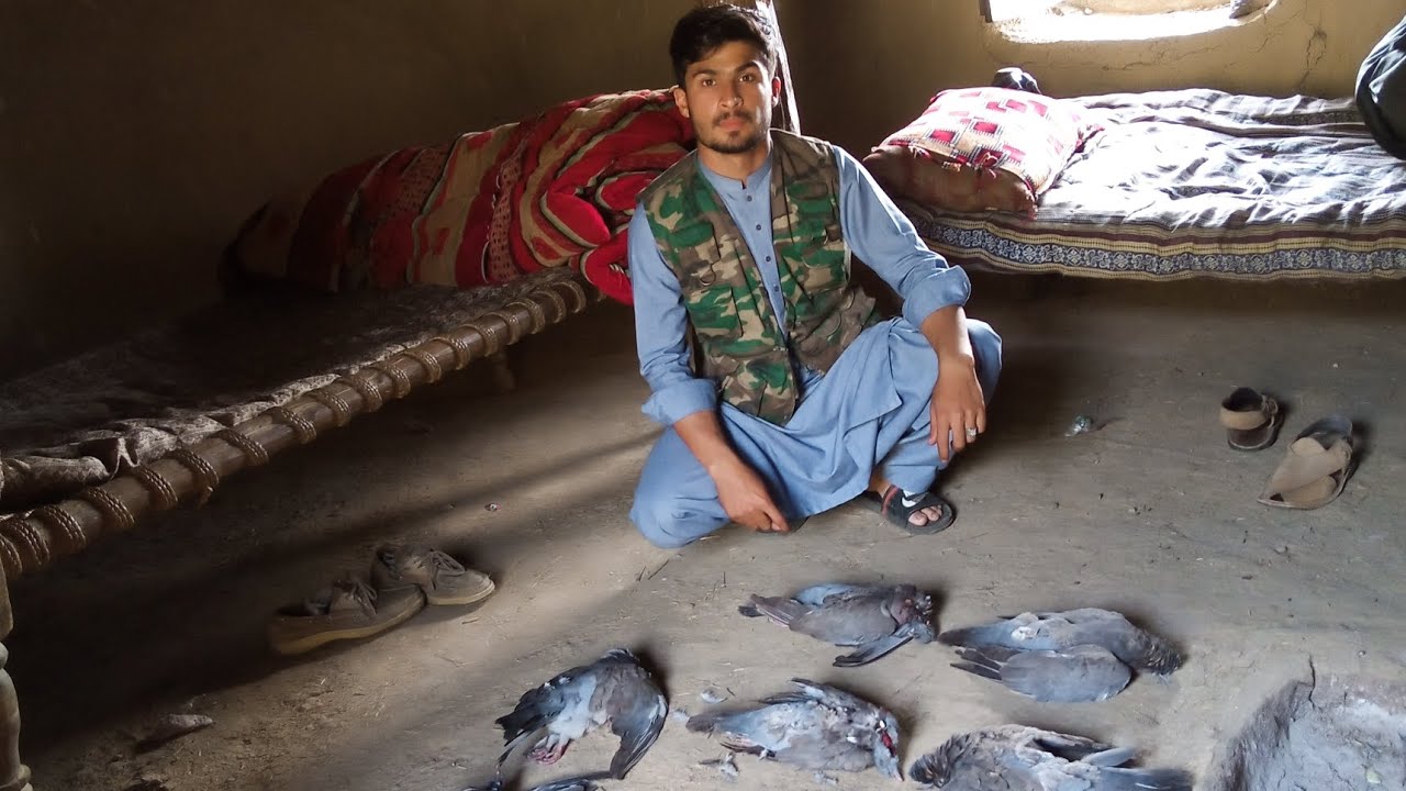 wood pigeon hunting in Pakistan 15 April 2023 . Al_zarar hunting group ...