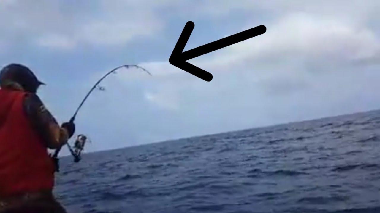 TRICK CARA MENANGKAP IKAN 2019 - YouTube