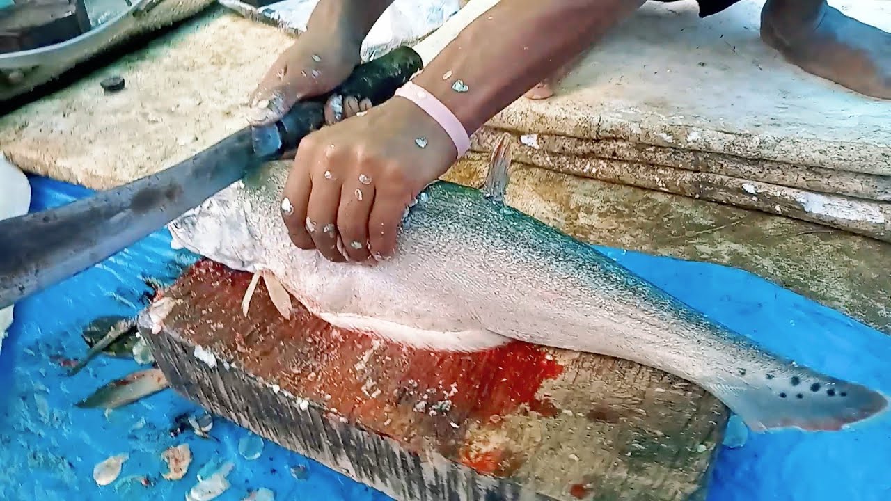 Chital Fish || The World's largest Chital Fish Cutting Skills ...