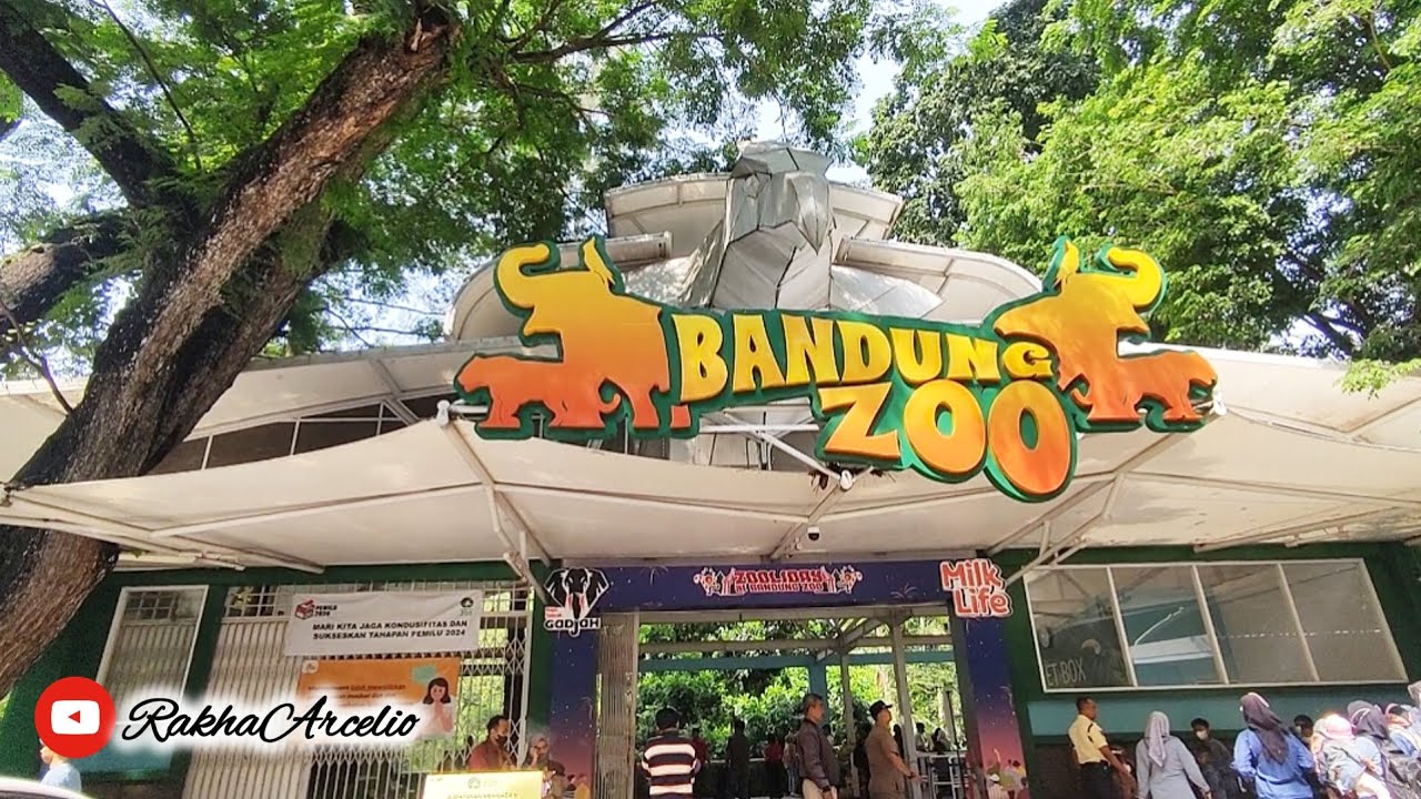 MINI VLOG BANDUNG ZOO | Kebun Binatang Bandung - YouTube