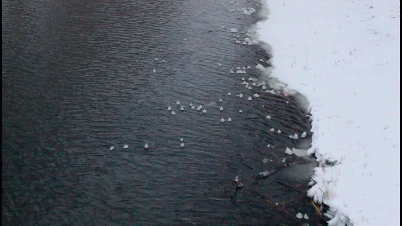 Floating snowballs in Amsterdam channels 2021| Bolas de nieve flotantes ...