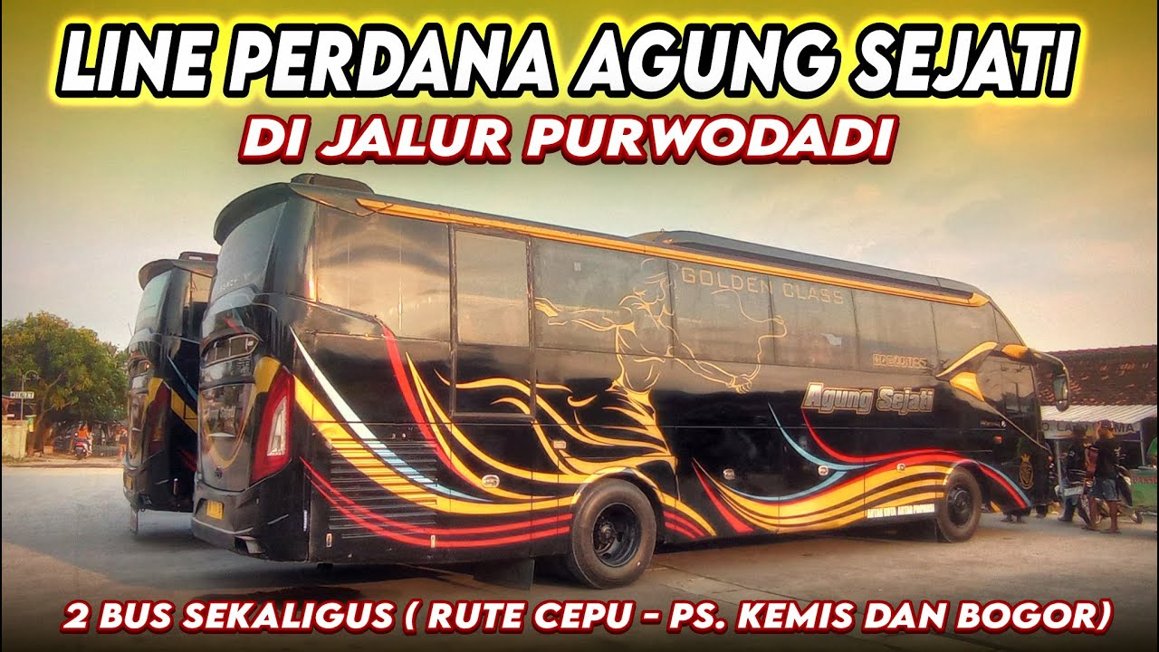 Line Perdana Agung Sejati di Jalur Purwodadi | Langsung terjunkan 2 Bus ...