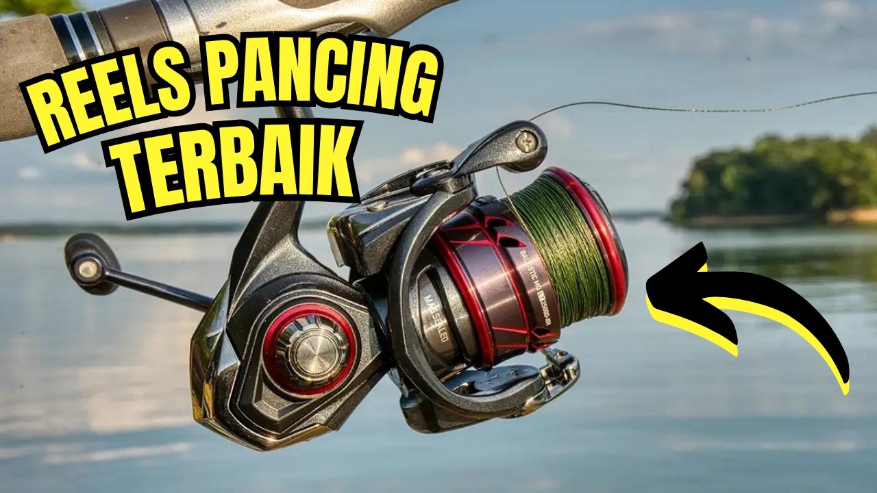 MANTAP 👉 5 Rekomendasi REEL PANCING Murah Terbaik TAHAN LAMA dan Awet ...