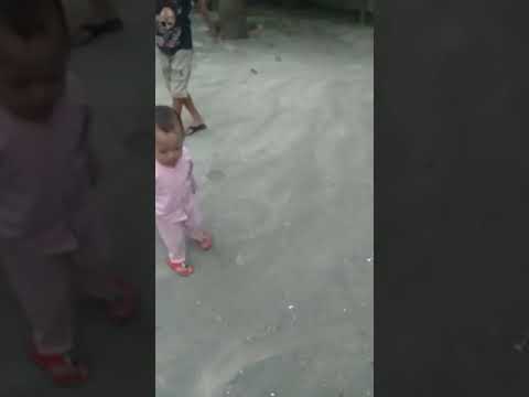 Adel maen bola