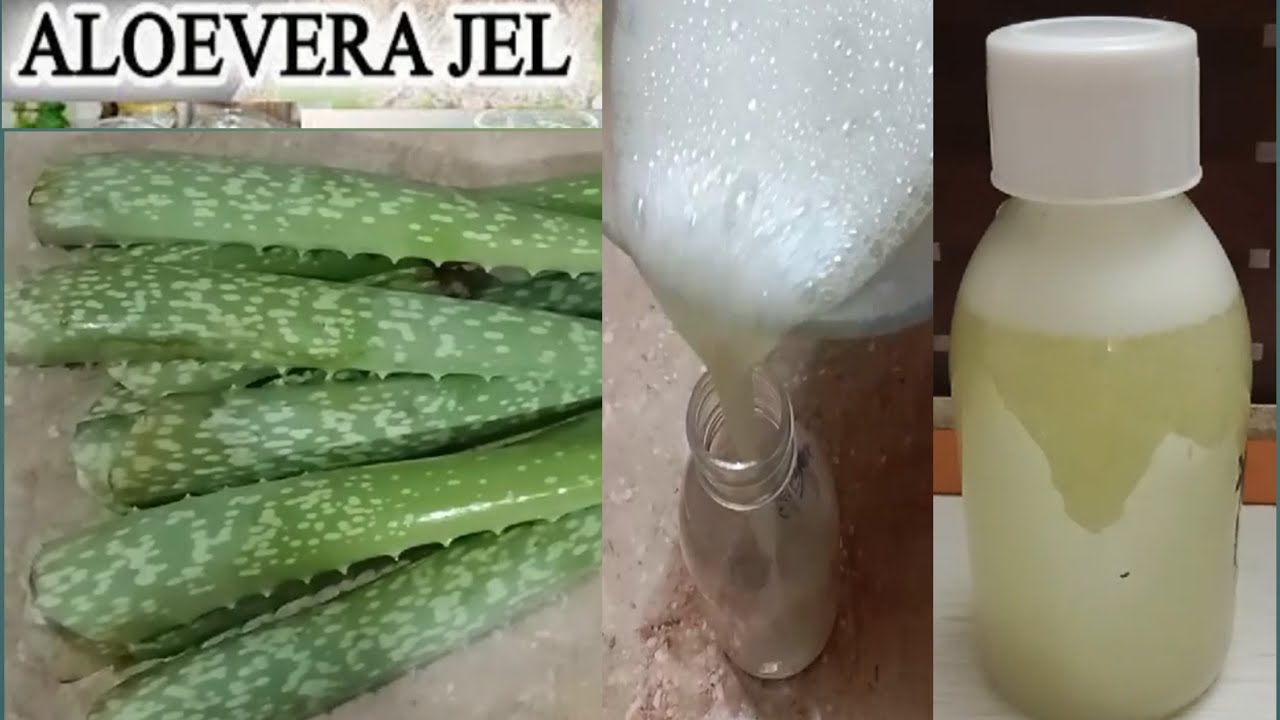 How to make aloe Vera gel at home 100% pure | step by step process ...