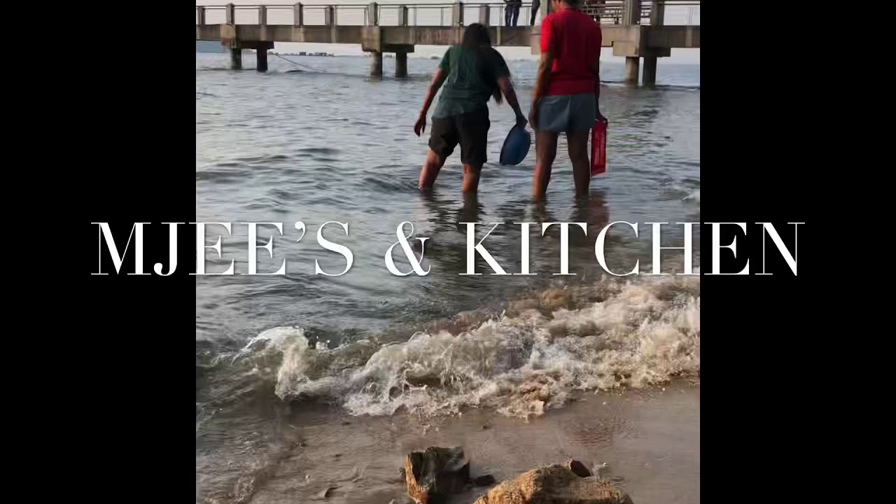 #How To catch Shell At 🌊 - YouTube