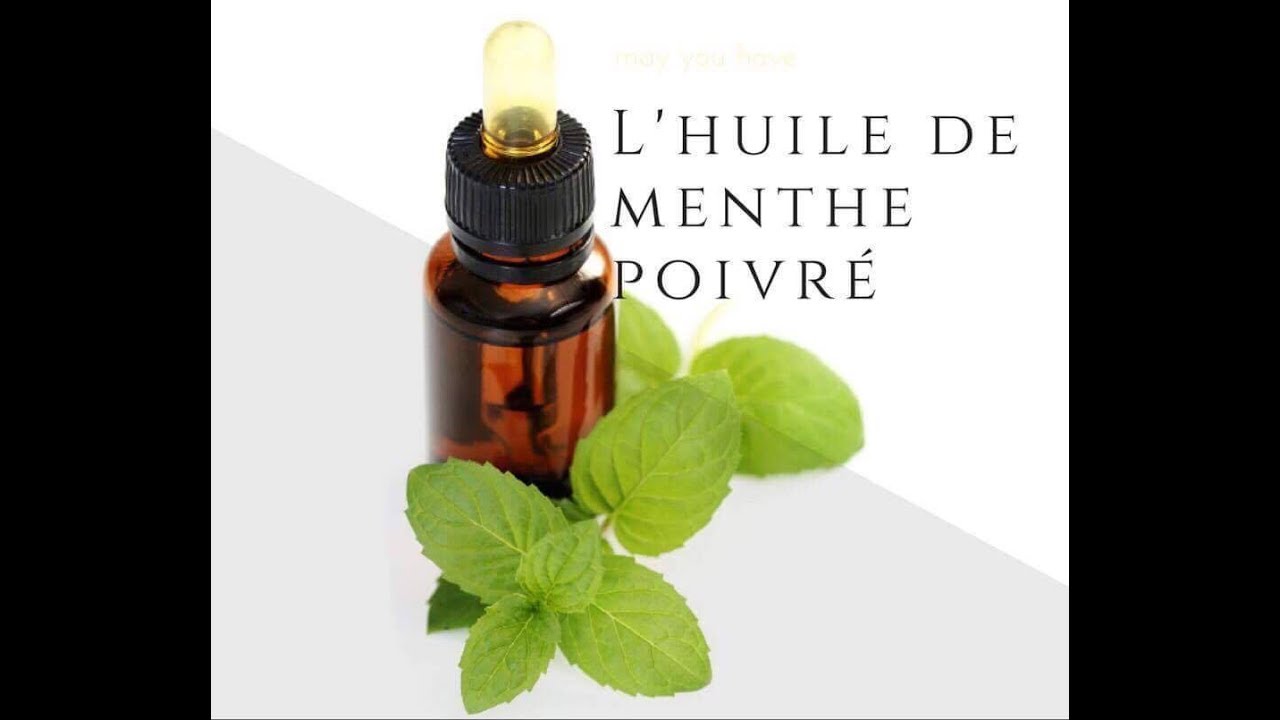 Pousse rapide: L'essence de menthe poivrée| Sugartalks - YouTube