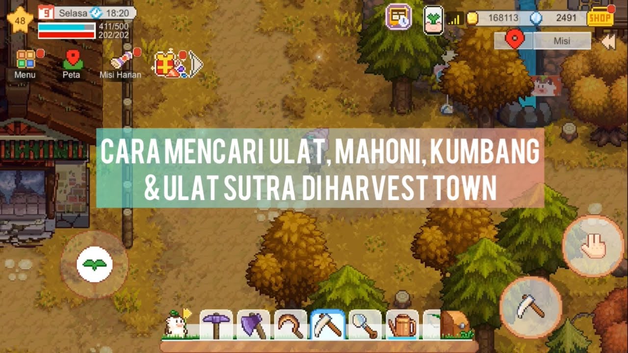 Cara mencari ulat,mahoni,ulat sutra | HARVEST TOWN INDONESIA - YouTube