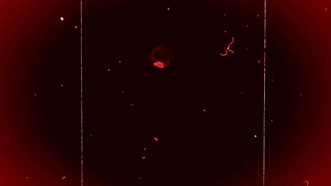 Old FIlm Red Grain Overlay Free Download - YouTube