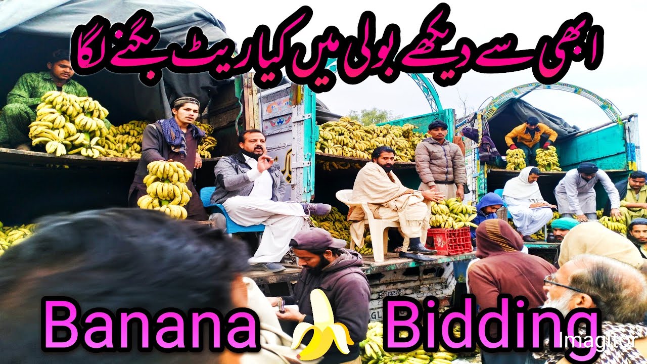 Banana Bidding || kelay ki boli || Banana price ||Fruit market ma kelay ...