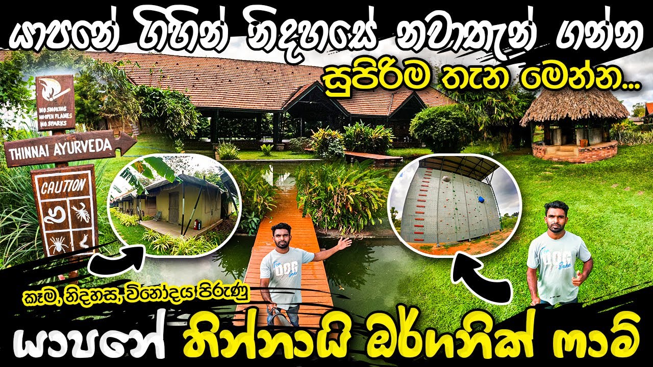 යාපනේ ගිහින් නවතිනවනම් මෙන්න තැන | Thinnai Organic Farm Jaffna 🪸 - YouTube
