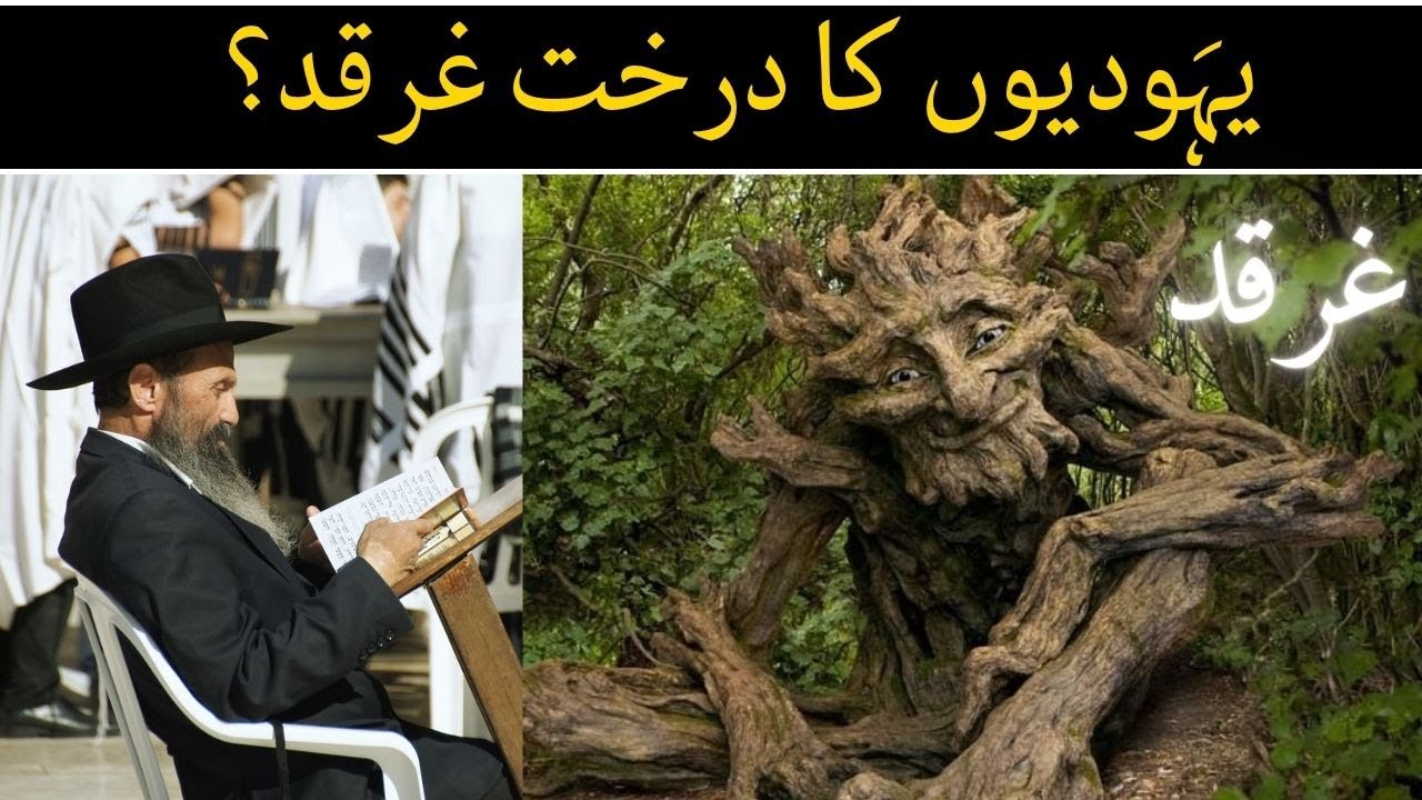 Gharqad Ka Darakht | Tree Of Jews | Reality Of Gharqad Tree | Hindi ...