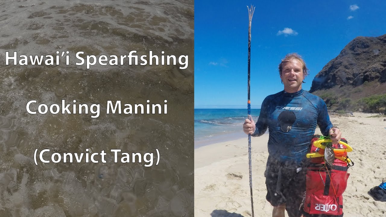 Hawai'i Spearfishing - Cooking Manini (Convict Tang) - YouTube