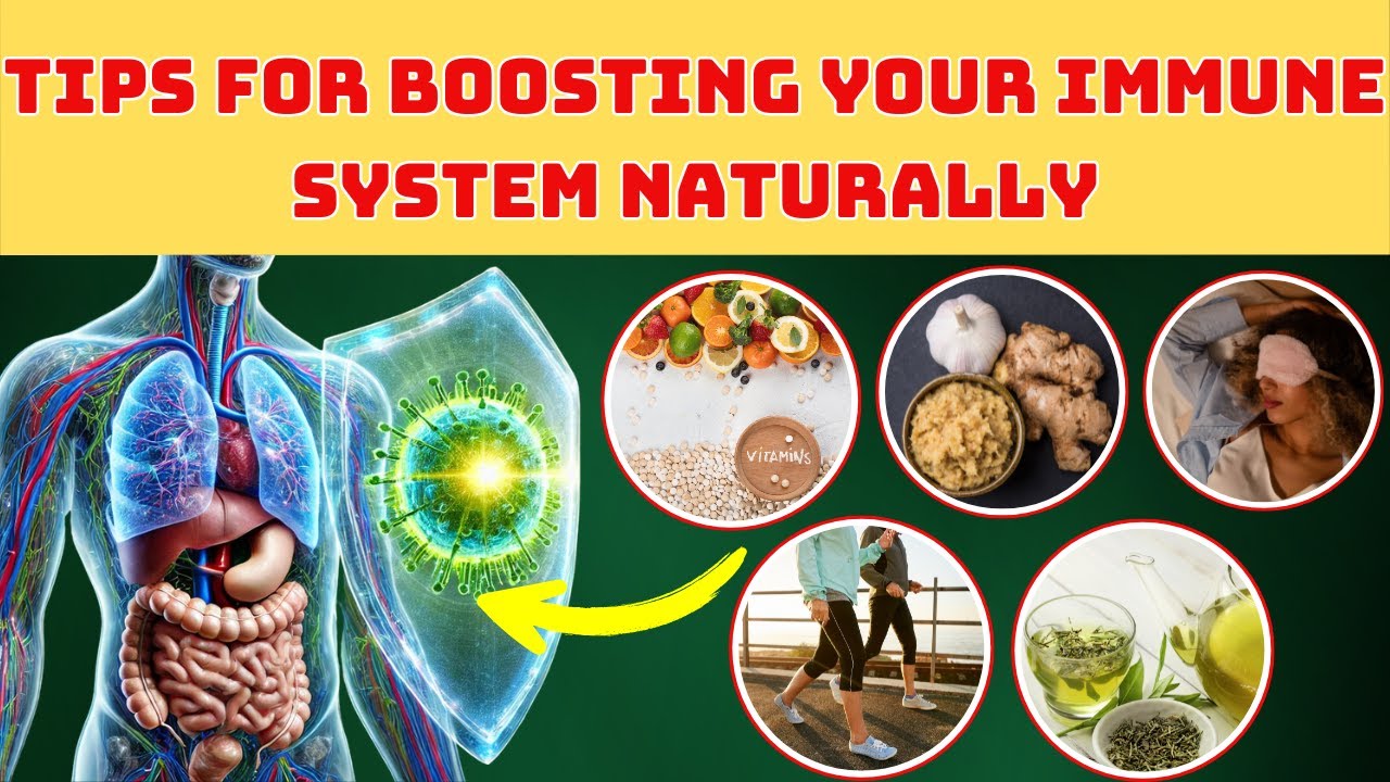 Bí quyết tăng cường hệ miễn dịch tự nhiên - YouTube