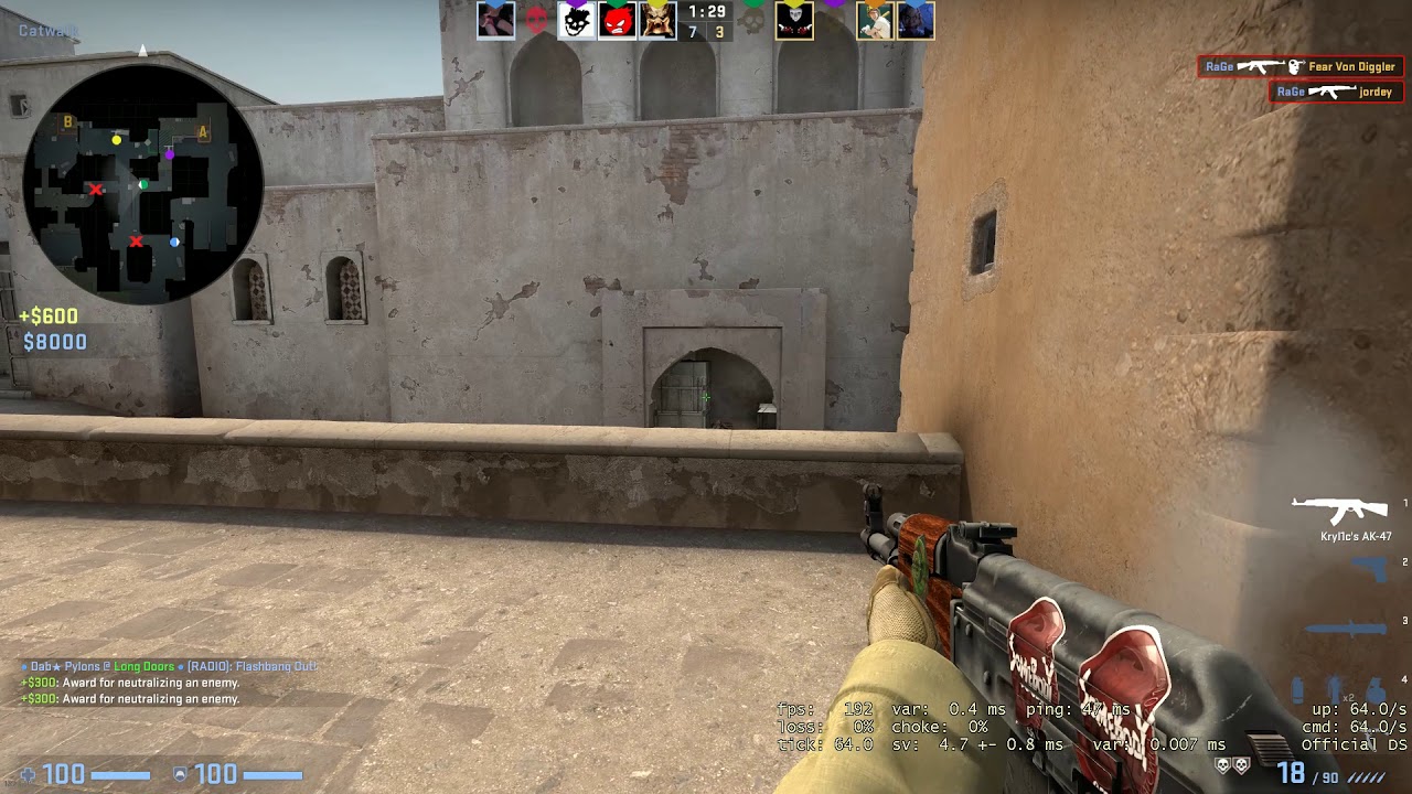 Send Me Cat | Counter-Strike Global: Offensive - YouTube