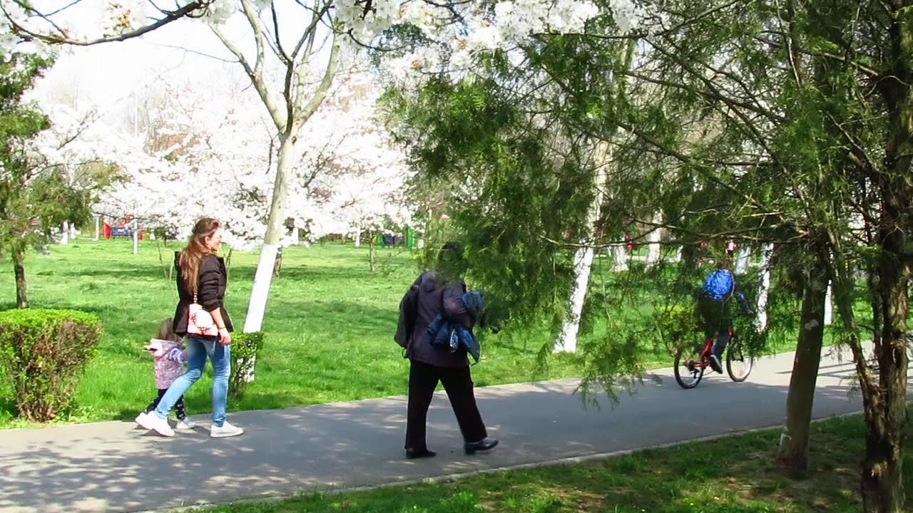 Spring time in Bucharest, Romania, March 20, 2020 - YouTube
