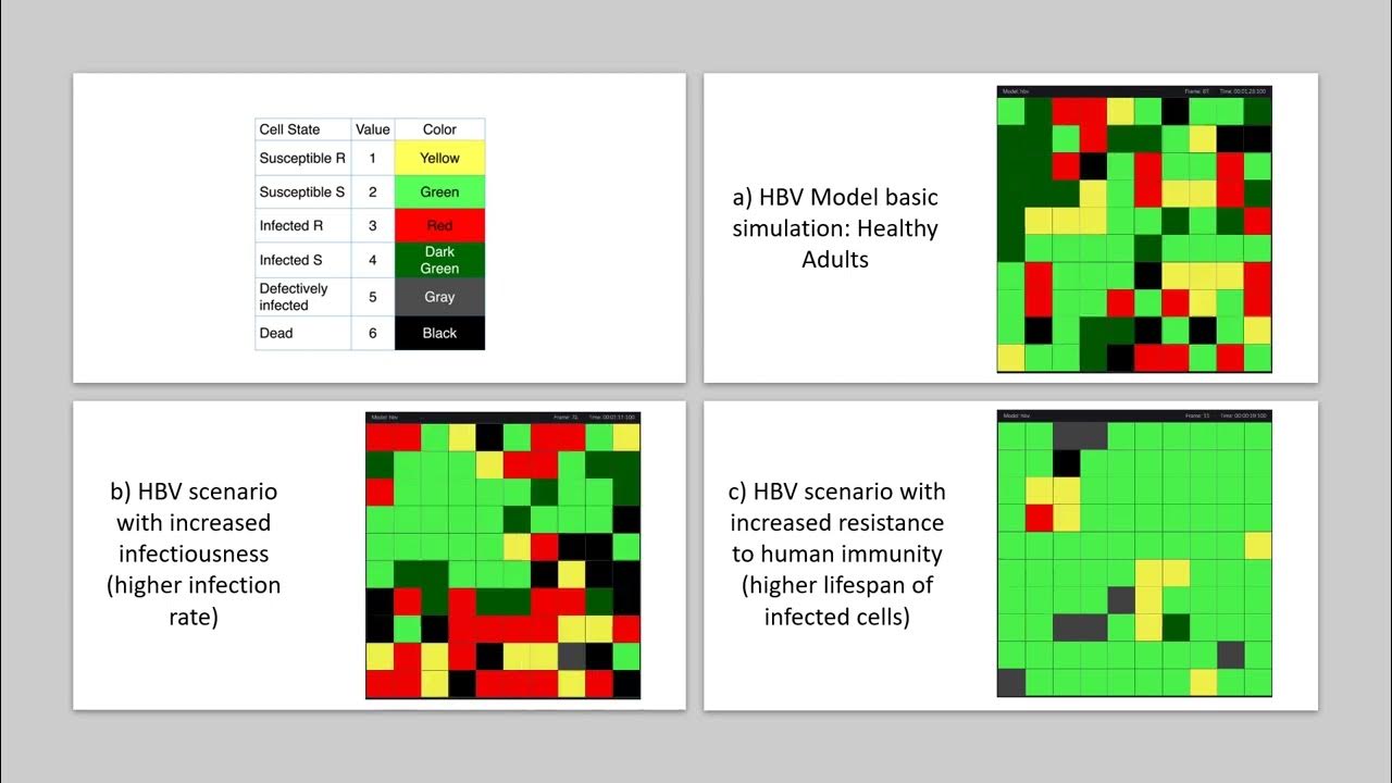 Modeling Epidemiology Using Cell Devs Hbv Youtube