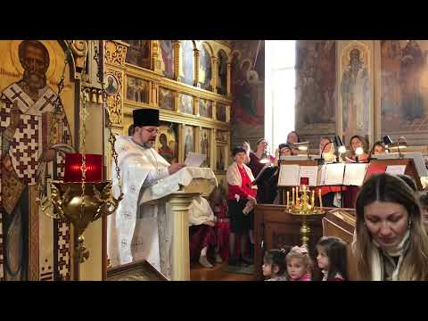 7 янв 2023, Fr Andrey, Christmas Homily, Holy Protection church, Nyack, NY, ROCOR