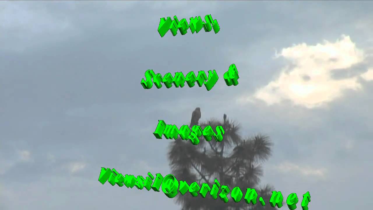 OpenGl 3D Text Encoded With VMR Multi File 2Pass Method - YouTube