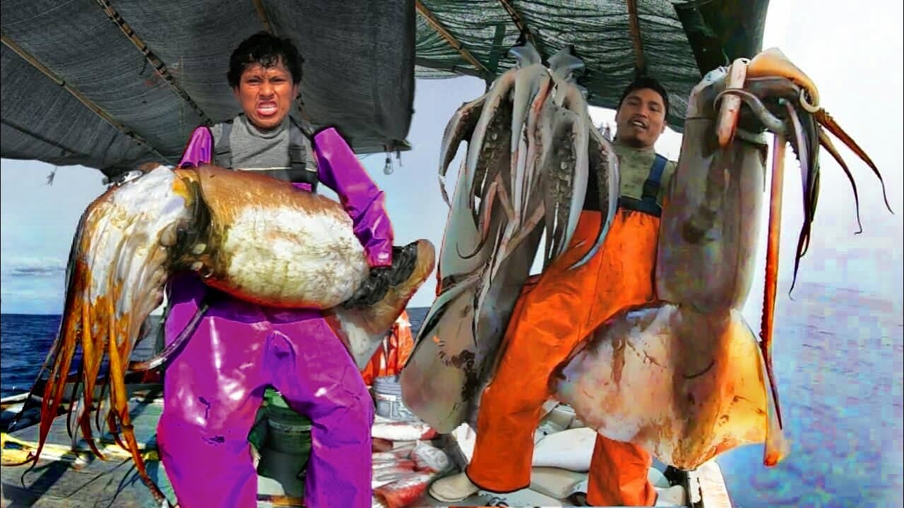 TOP 5 Mejores Pescas Extremas en ALTA MAR - YouTube