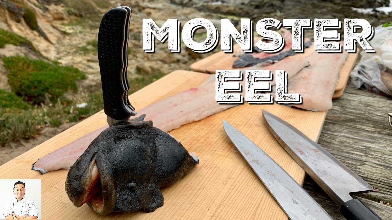 MONSTER EEL | Catch and Cook | Was It Still Alive During Filleting ...