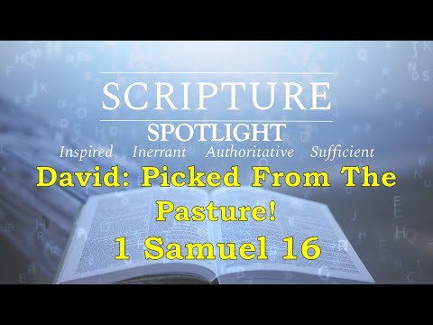 David: Picked From the Pasture (1 Samuel 16) | Scripture Spotlight ...