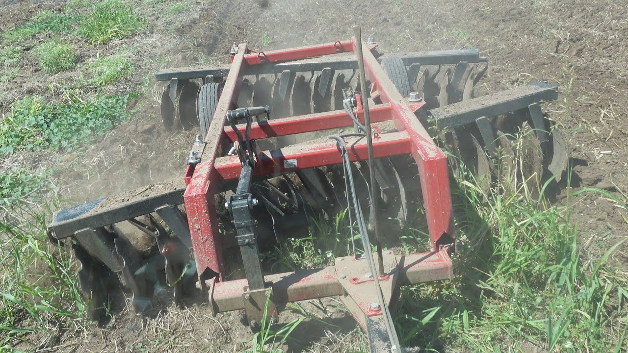 Rastreando Sobre Zacate Johnson - YouTube