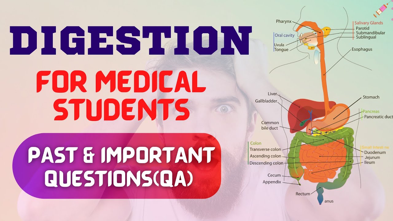 Digestion MCQs || Important & Past MCQ 😱😱 || Common Entrance ...