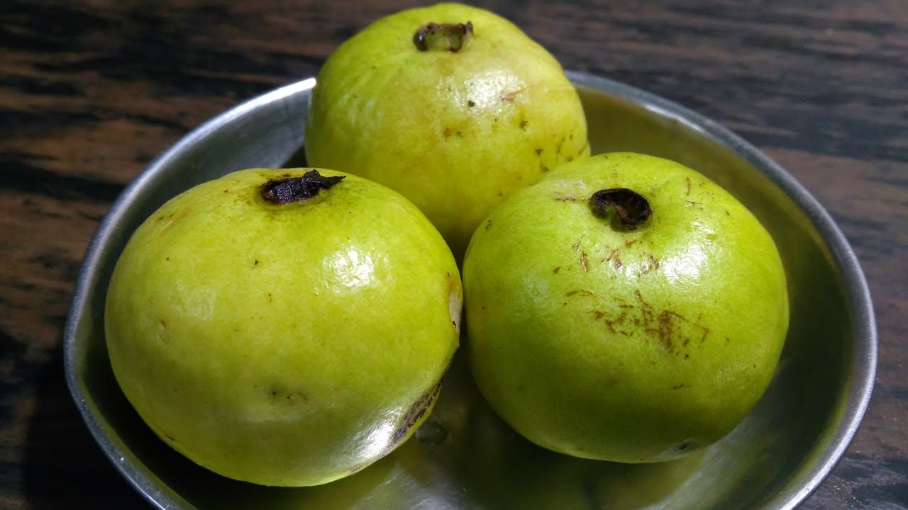 guava juice | koiya palam juice | guava juice recipe in tamil | guava ...