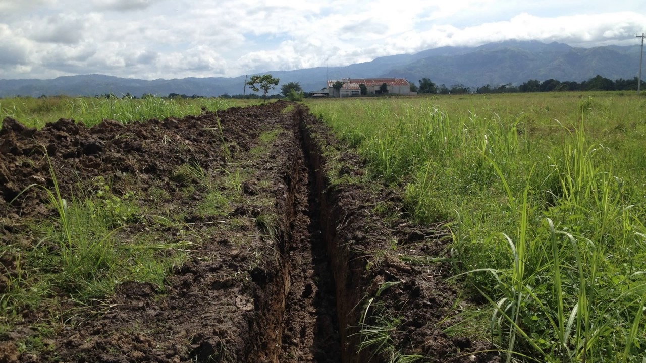 Peripheral Drainage Canal of Summabiotech's 20 ha. Demo Farm in ...