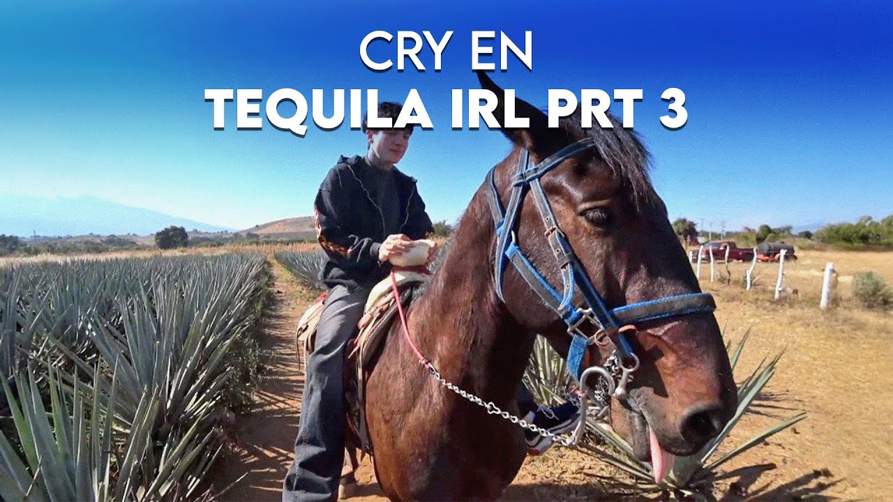 CRY EN TEQUILA IRL / PRT3 - YouTube