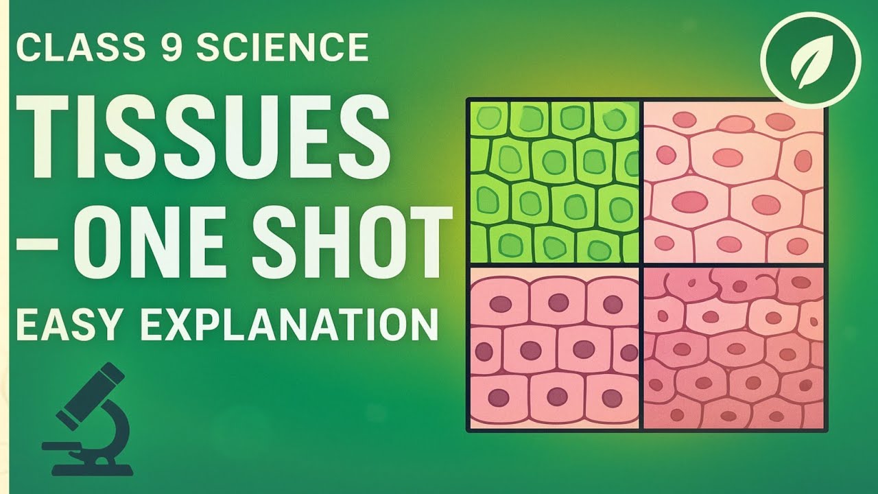 Class 9 Tissues |Class 9 Tissues One Shot |Class 9 Tissue - YouTube