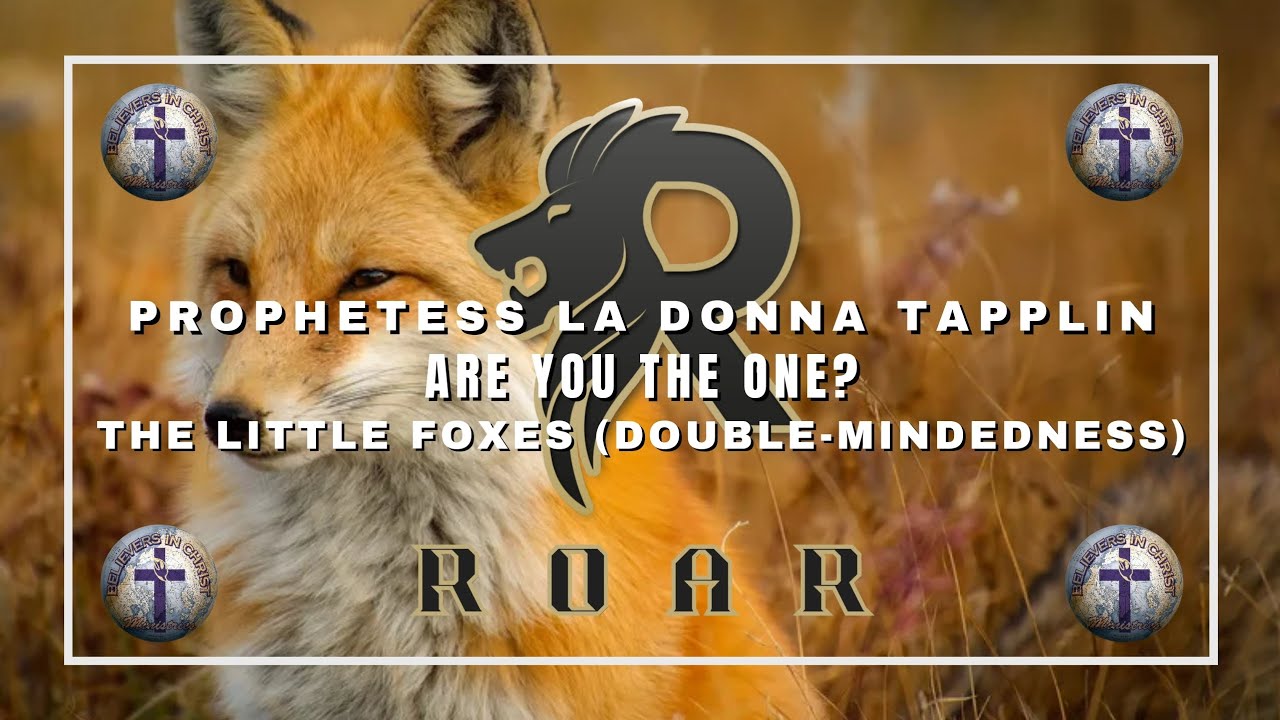 Prophetess La Donna Tapplin - Are You The One?: The Little Foxes ...