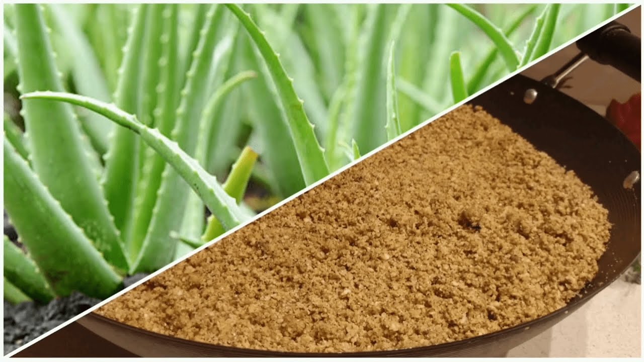 How to make Aloe Vera stranth sank/ Aloe Vera ki pangeri ki recipe ...