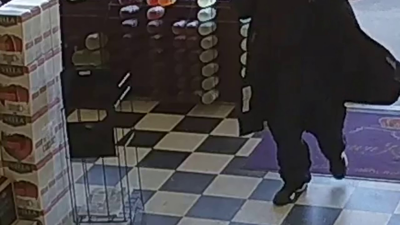 Shoplifter 010420 - Entering - YouTube