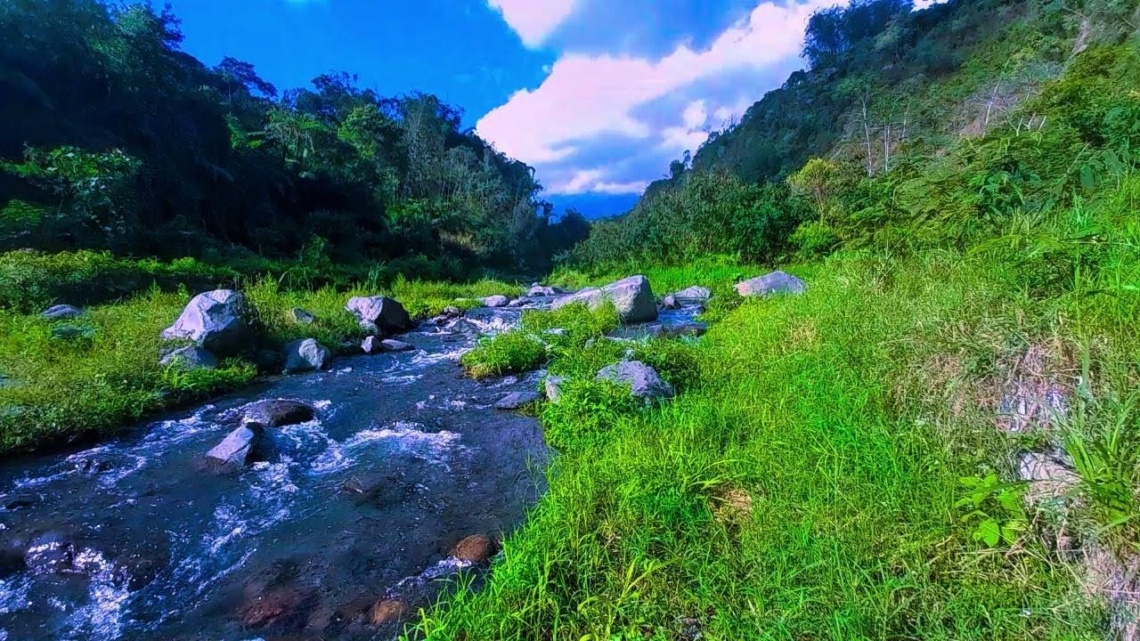 TRANQUIL STREAM SOUNDS FOR RESTFUL SLEEP AND MINDFULNESS - YouTube