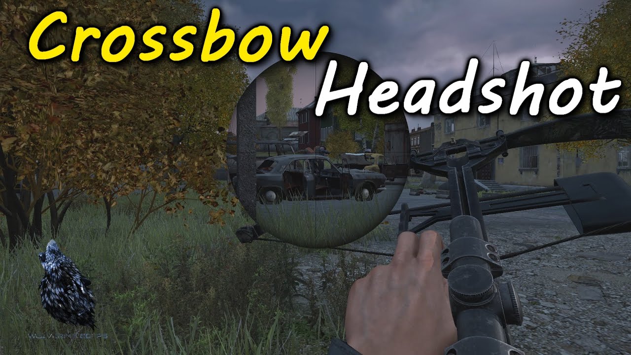 DayZ SA Day 30 Crossbow Headshot! - YouTube