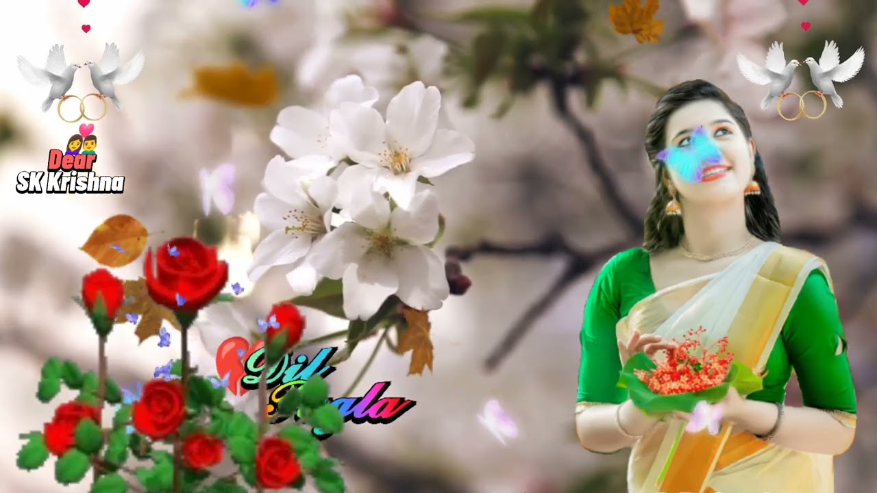 অনেক রাইতে ঘুম ভাইঙ্গা যায় তোমার গান শোনিয়া @Teddy Lover SK @S2K ...