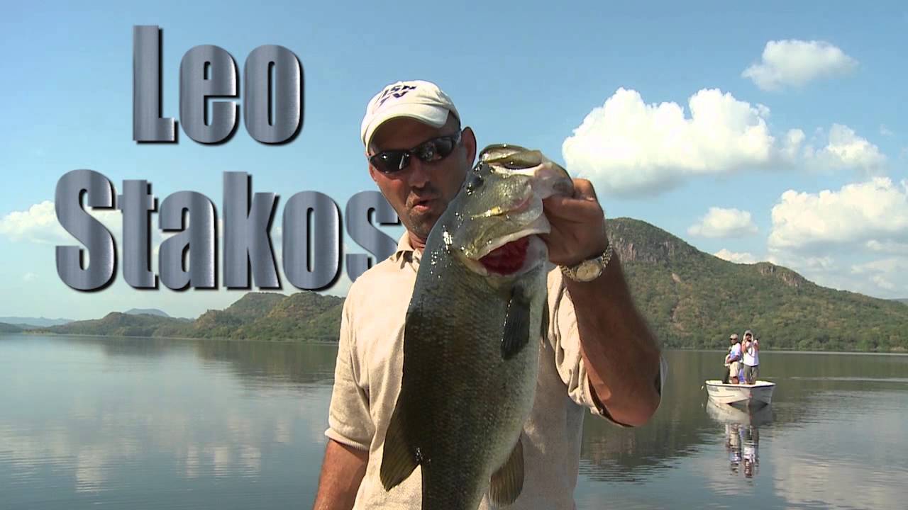 Fish TV Intro - YouTube