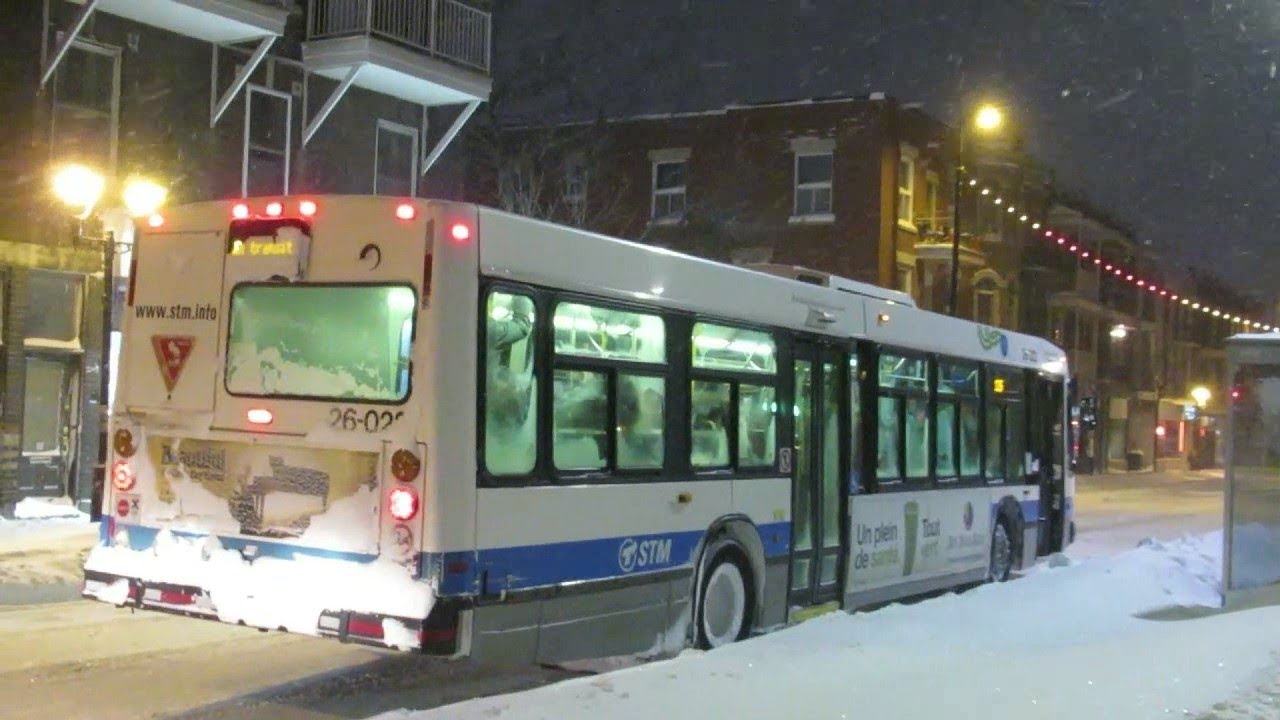 MONTREAL STM BUSES I LIKE IN ACTION - JANUARY 2019 - YouTube