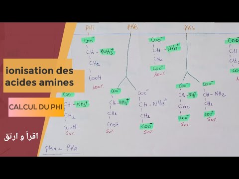 📣 Ionisation des acides aminés | pka | pkb | pkr | calcul du pHi ...