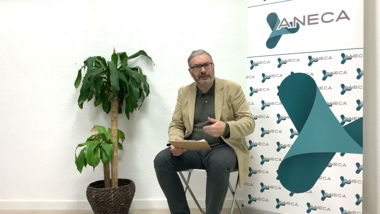 ANECA VIDEO - YouTube