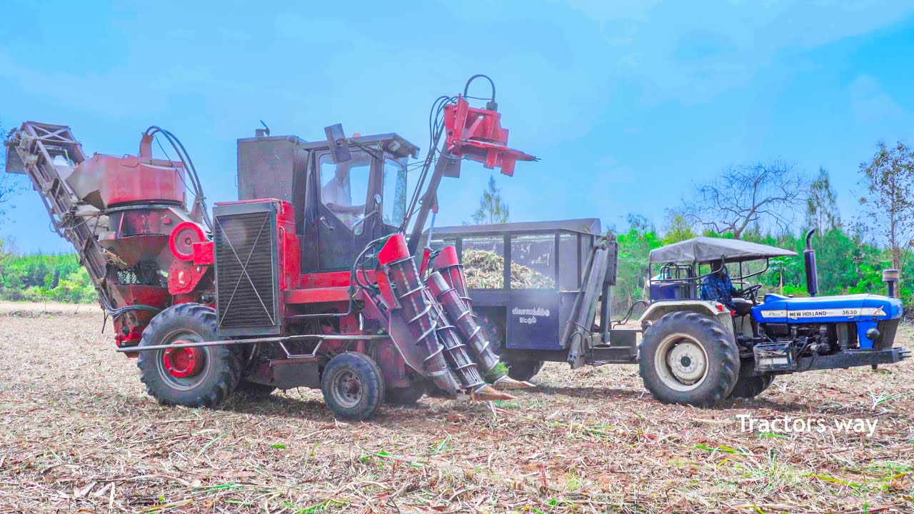 Sugarcane harvesting machine | Big giant harvester sugar cane cutting ...