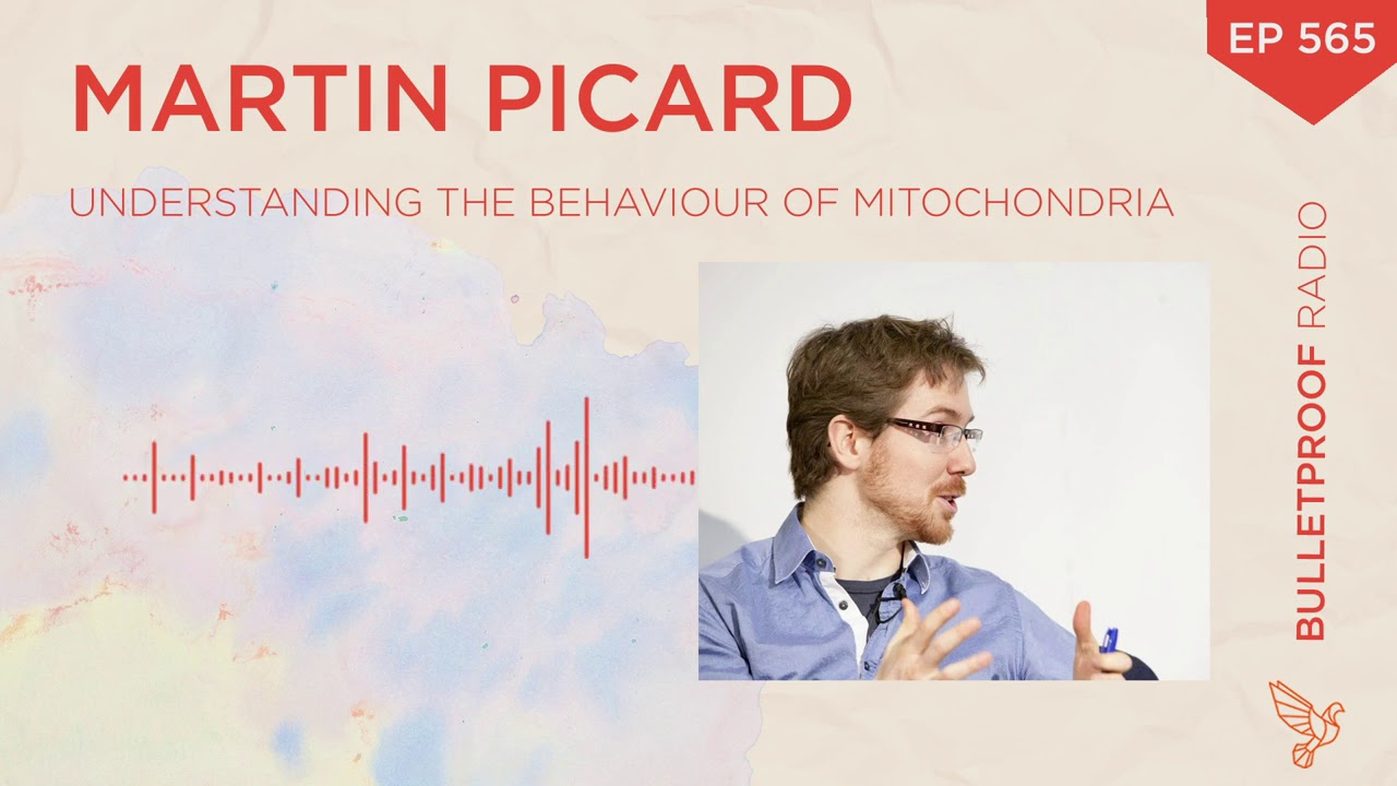 Understanding the Behaviour of Mitochondria Martin Picard #565 - YouTube
