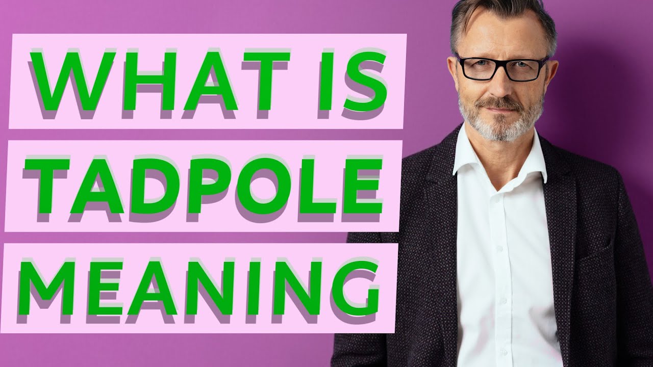 Tadpole | Definition of tadpole - YouTube