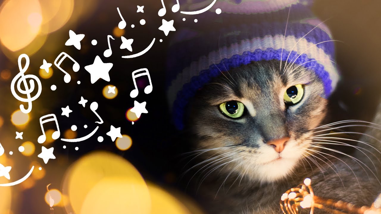 Calming Cat Music 🎄 New Year's mood for you and your cat - YouTube