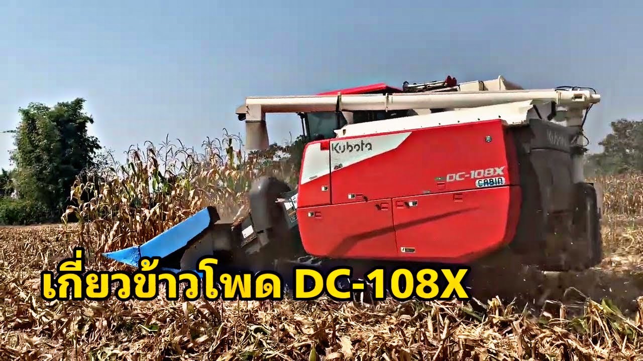 เกี่ยวข้าวโพดกับDC-108xใหม่ตู้แอร์ หัวบึดข้าวโพด - YouTube