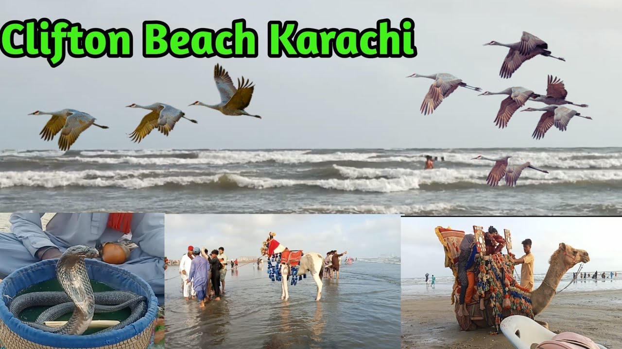 Clifton Beach Karachi | Sea View Beach Karachi | Best and famous beach ...